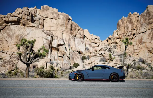 Wallpaper Nissan, GT-R, R35, side view, Nissan GT-R Nismo, 2023 images ...