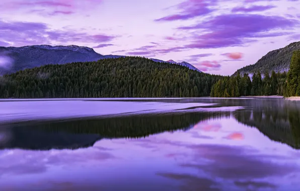 Wallpaper forest, the sky, clouds, mountains, reflection, shore, pond ...