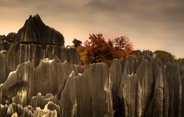 Wallpaper China, Yunnan, Yiliang for mobile and desktop, section ...