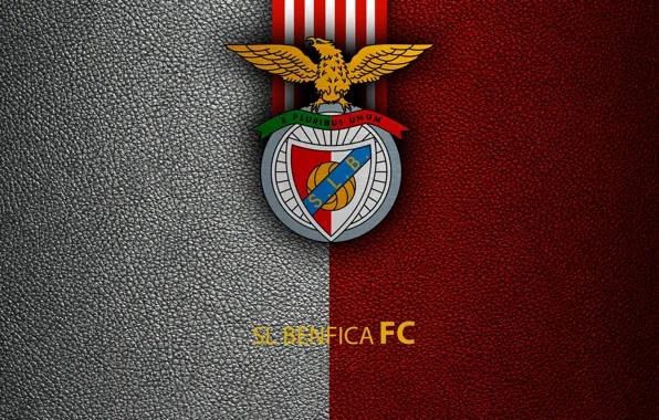 Wallpaper wallpaper, logo, football, Sport, SL Benfica, First for ...