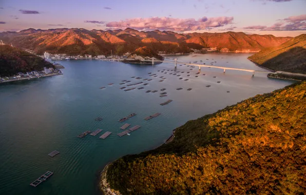 Download wallpaper mountains, bridge, Strait, Japan, section landscapes ...