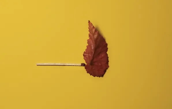 Wallpaper sheet, fire, match images for desktop, section разное - download