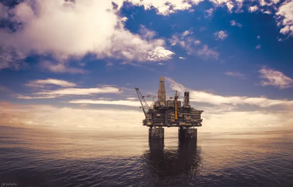 Wallpaper Eagle, oil, Rosneft, oilandgas, M.Safiullin, rosneft ...