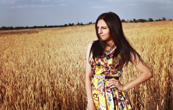 Wallpaper field, the sky, hair, Girl, figure, dress, brunette, ears for ...