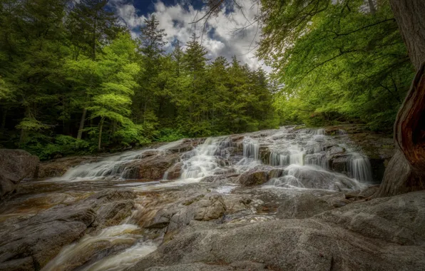 Download wallpaper forest, rocks, waterfall, section landscapes in ...