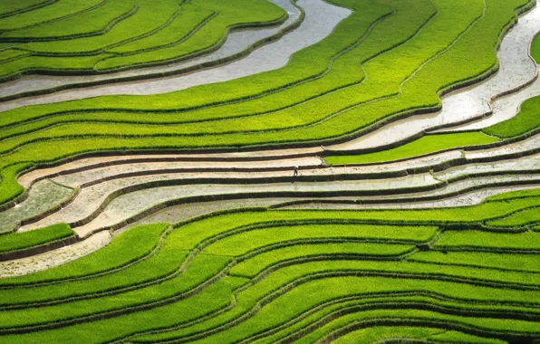 Wallpaper field, figure, plantation images for desktop, section пейзажи ...