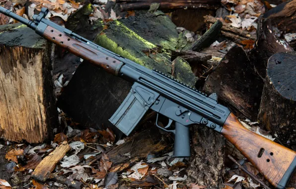 Wallpaper weapons, Machine, Gun, weapon, Assault rifle, Assault Rifle ...