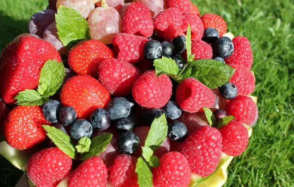 Wallpaper berries, raspberry, weed for mobile and desktop, section еда ...