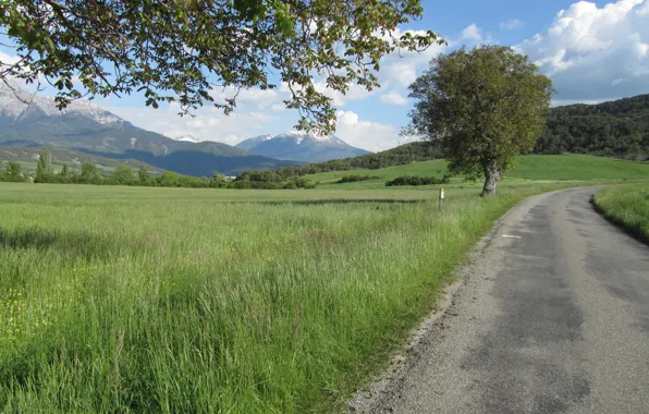 Download wallpaper Mountain, France, Provence, Green Grass Field ...