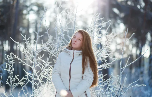 Download wallpaper frost, girl, morning, frost, section girls in ...