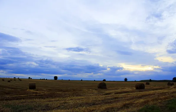 Wallpaper summer, the sun, sunset, nature for mobile and desktop ...