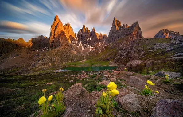 Wallpaper flowers, mountains, lake, stones, rocks, tops for mobile and ...