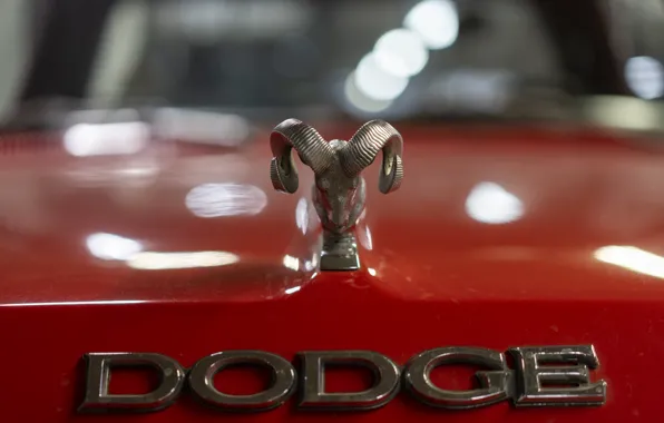 Download wallpaper red, dodge, ram, section dodge in resolution 2048x1536