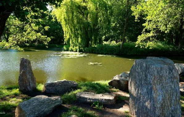 Download wallpaper river, water, park, lake, section landscapes in ...