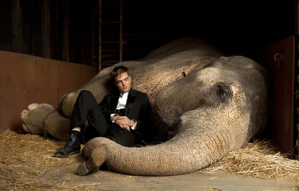 Wallpaper actor, vampire, Twilight, Male, Robert Pattinson, Water for ...