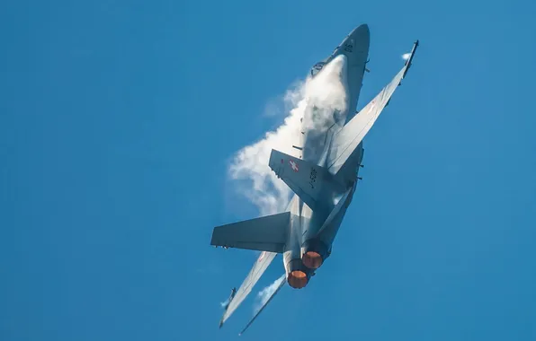 Wallpaper The Sky Weapons The Plane F 18 Hornet For Mobile And