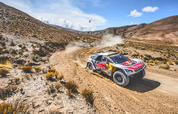 Red Bull Rally Racing Wallpaper