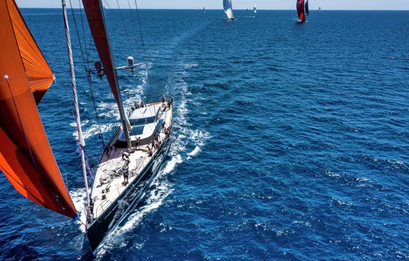 Wallpaper the ocean, the wind, team, sails, regatta, Palma de Mallorca ...