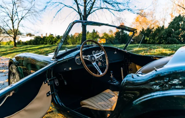 Download wallpaper Shelby, Cobra, car interior, Shelby Cobra 289 ...