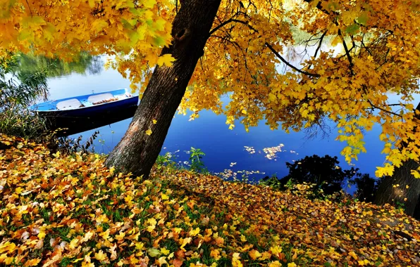 Wallpaper river, blue, autumn, boat images for desktop, section природа ...