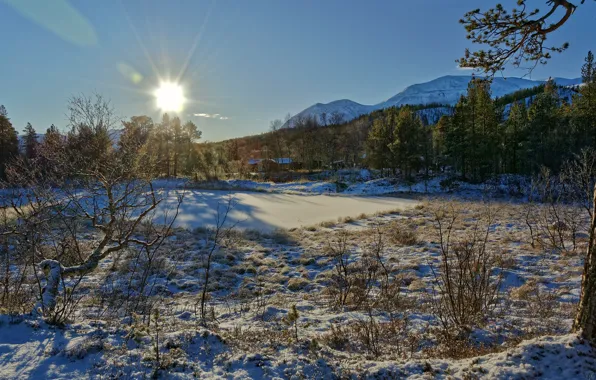 Wallpaper winter, Norway, Norway, Rondane images for desktop, section ...