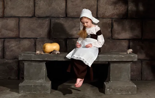 Wallpaper girl, Cinderella, pumpkin, mouse, tear images for desktop ...