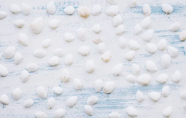 Wallpaper sea, Background, shell images for desktop, section разное ...