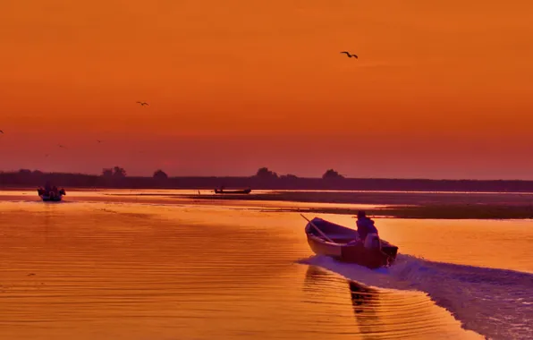 Wallpaper nature, boat, glow, Ukraine, Danube delta images for desktop ...