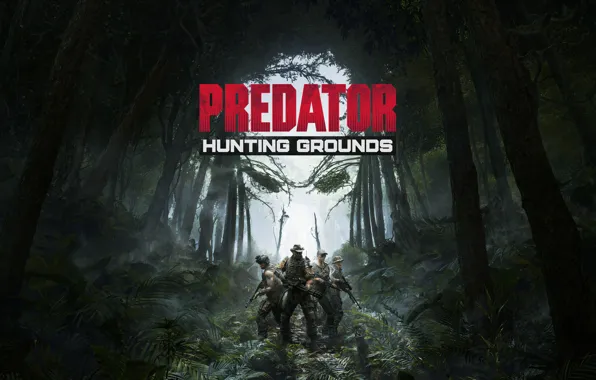 Download wallpaper Game, Predator Hunting Grounds, IllFonic, section ...