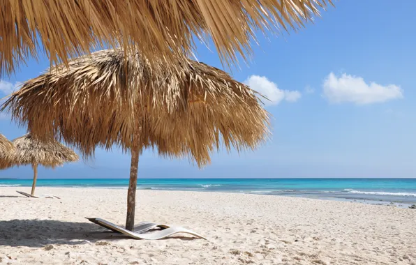 Wallpaper sand, sea, water, landscape, nature, palm trees, the ocean ...