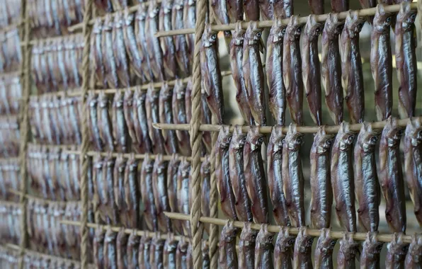 Download wallpaper background, food, dried fish, section food in ...