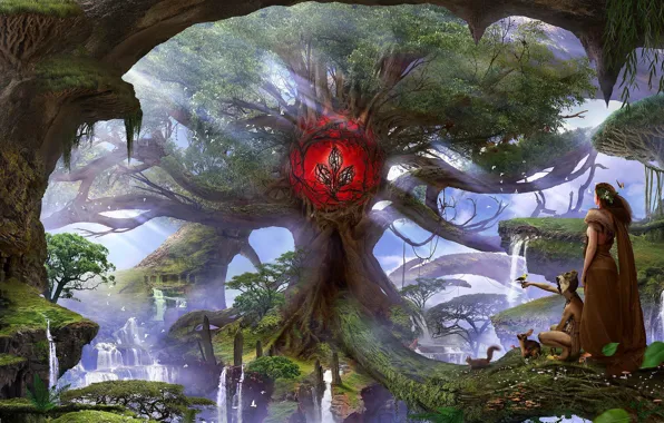 Wallpaper forest, trees, mountains, sign, hare, protein, waterfalls ...