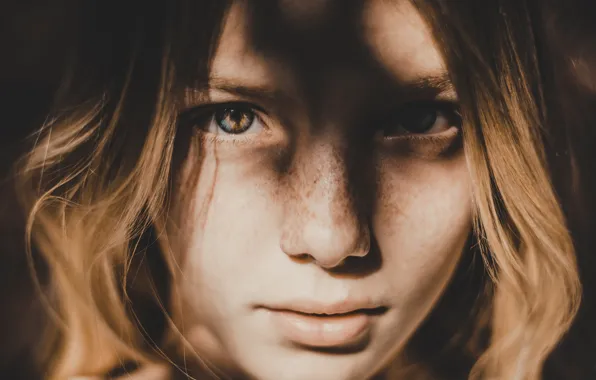 Wallpaper macro, portrait, Tom, curls for mobile and desktop, section ...