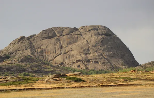 Wallpaper forest, nature, mountain images for desktop, section природа ...