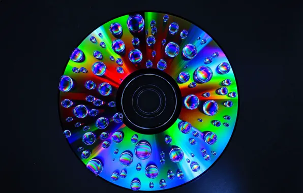 Wallpaper drops, background, disk for mobile and desktop, section макро ...