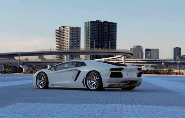 Wallpaper white, the sky, overpass, white, lamborghini, rear view ...