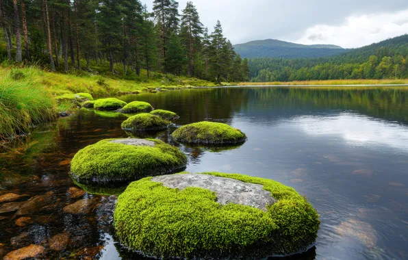 Wallpaper nature, AI art, neural network for mobile and desktop, section ии арт, resolution ...