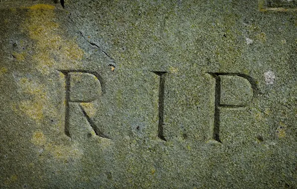 Download wallpaper background, texture, RIP, section textures in ...