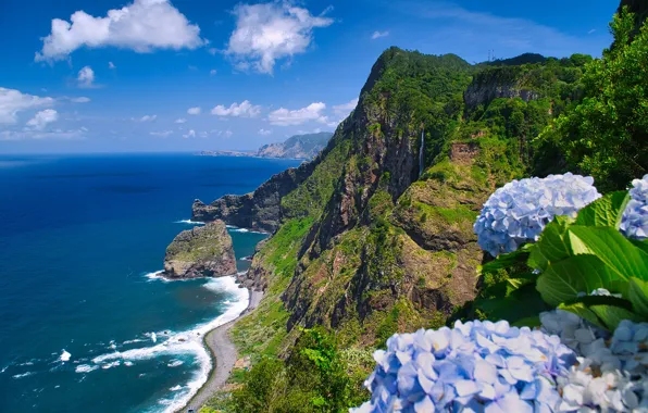 Wallpaper the sky, flowers, mountains, the ocean, view, Portugal ...