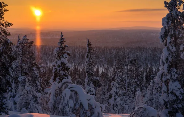 Wallpaper winter, forest, the sun, snow, trees, the snow, Finland ...