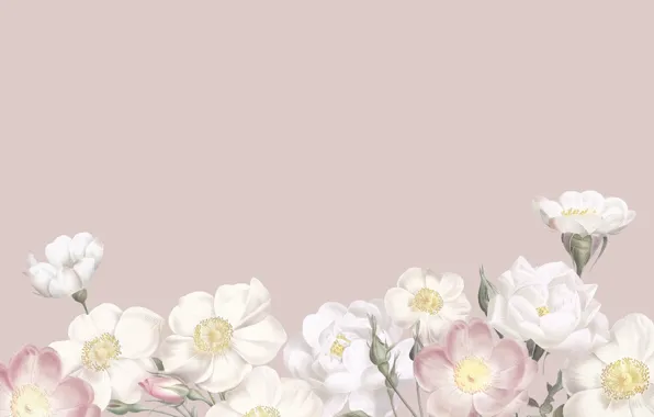 Download wallpaper flowers, background, briar, section textures in ...