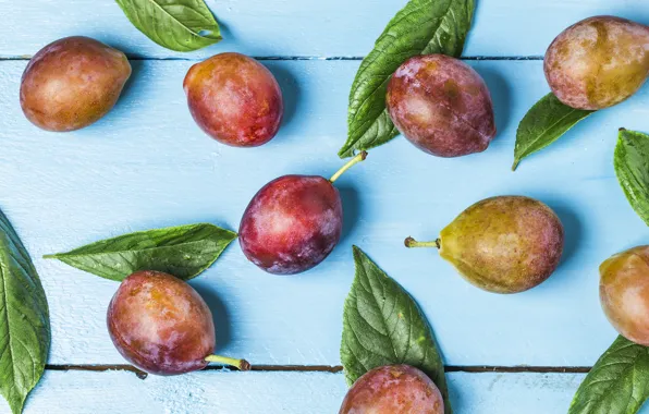 Wallpaper leaves, fruit, blue background, drain for mobile and desktop ...