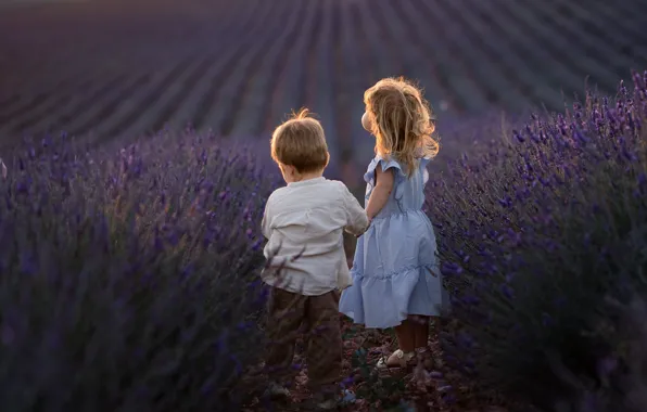 Wallpaper field, children, lavender for mobile and desktop, section ...