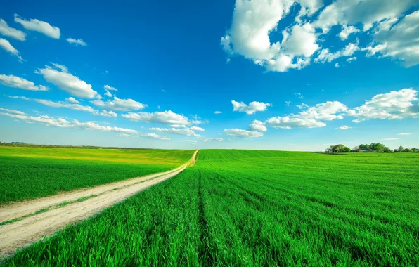 Download wallpaper sky, field, way, section nature in resolution 2048x2048