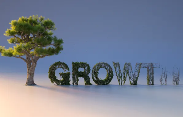 Wallpaper tree, closeup, growth for mobile and desktop, section ...