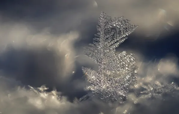 Download wallpaper Blur, Sheet, Frost, section macro in resolution ...