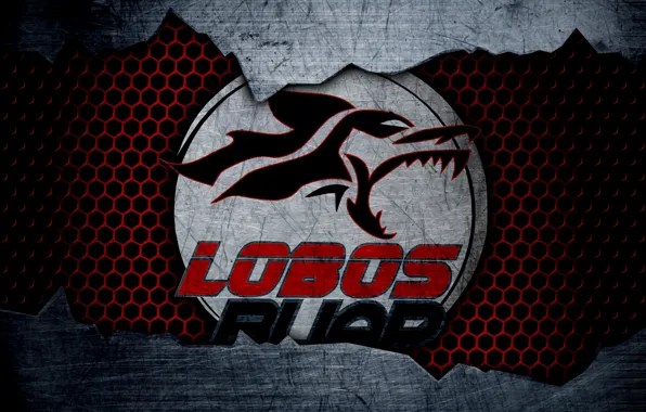 Download wallpaper wallpaper, sport, logo, football, Lobos BUAP ...