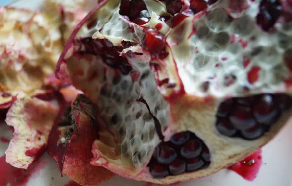 Wallpaper the sweetness, fruit, Garnet images for desktop, section еда ...