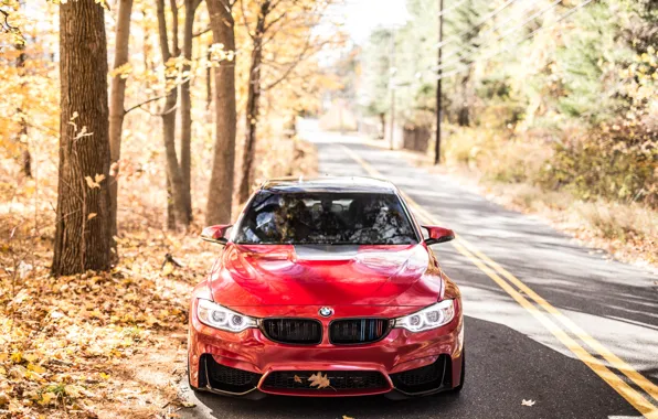 Wallpaper BMW, Autumn, RED, F82 images for desktop, section bmw - download