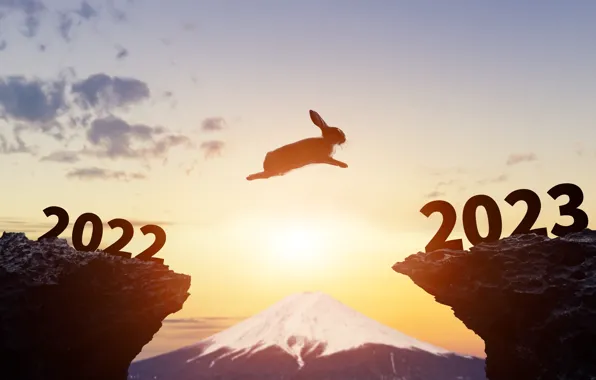 Wallpaper The sky, Clouds, Rocks, Rabbit, New Year, Jump, Silhouette ...